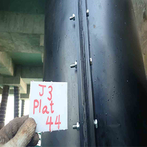 Project References - Guardian Integrity