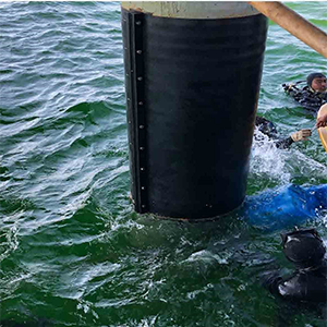 Project References - Guardian Integrity